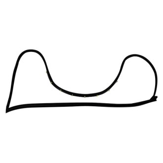 Dodge Charger Door Seals & Weatherstripping | CARiD