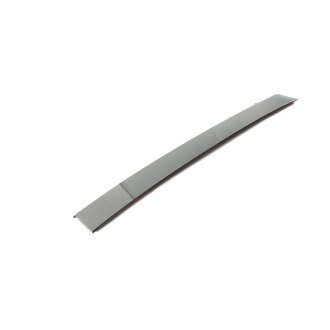 Dodge Ram Door Moldings - Side, Edge, Belt | CARiD