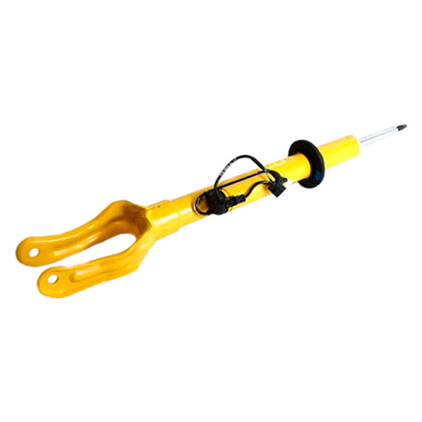 Mopar® 68384344AC - Front Passenger Side Shock Absorber Kit
