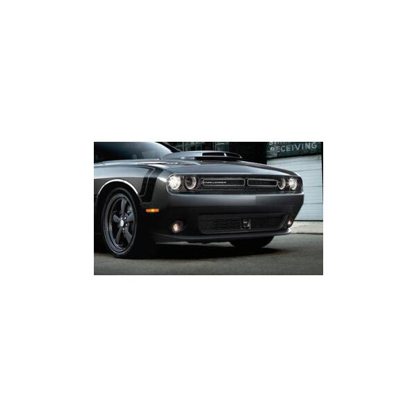 Mopar® 82214570AB - Grille