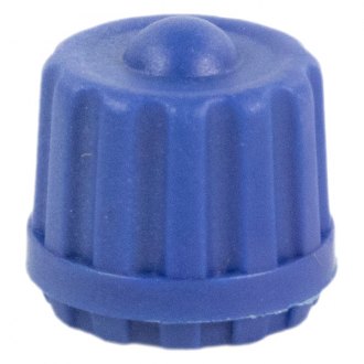 Fuel Pressure Relief Valve Caps | CARiD