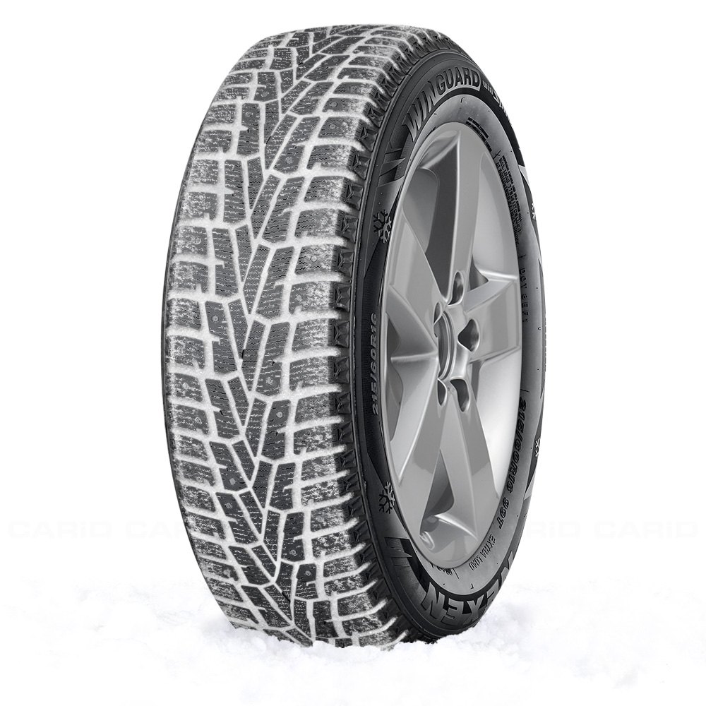 NEXEN® WINGUARD WINSPIKE Tires