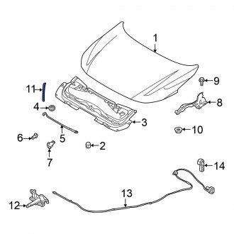 Nissan Sentra Hood Weatherstripping Seals | CARiD