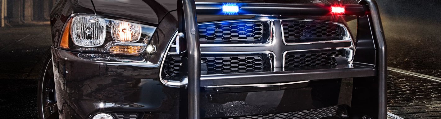 Ford F-150 Push Bars | Integral Step, Winch Mount – CARiD.com