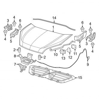 2017 Ram ProMaster City OEM Body Hoods | CARiD