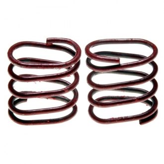 Parking Brake Strut Springs | CARiD