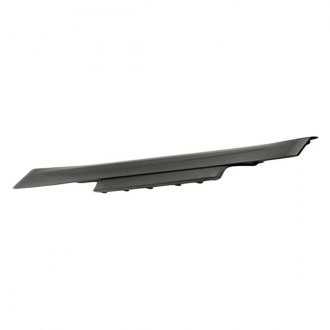 Lexus ES350 Replacement Rocker Panel Moldings — CARiD.com