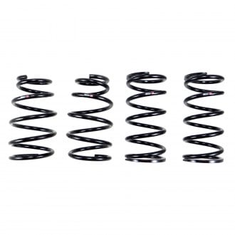 Lexus RX Suspension Lowering Kits - Springs, Struts | CARiD
