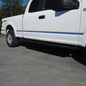Ford F-150 Chrome Body Side Moldings | CARiD