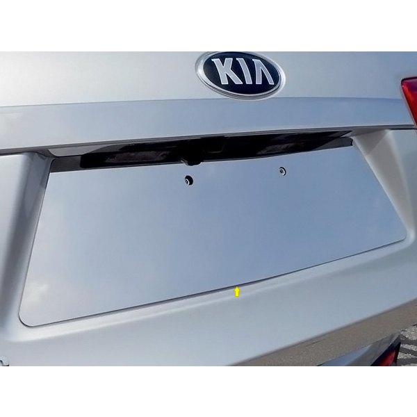 SAA® LP16820 - Polished License Plate Trim