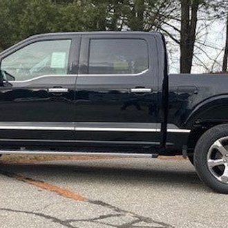 Ford F-150 Chrome Body Side Moldings | CARiD