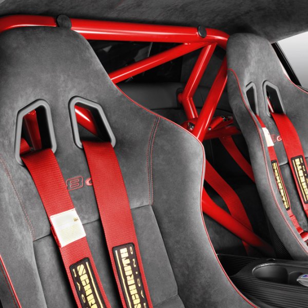 Schroth Racing™ - Harnesses, Seat Belts & Safety Products | CARiD