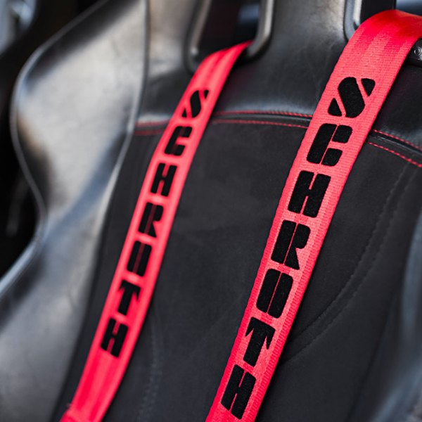 Schroth Racing™ - Harnesses, Seat Belts & Safety Products | CARiD