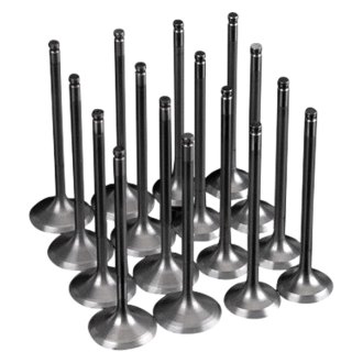 Skunk2™ | Racing Parts, Engine, Exhaust, Intakes, Suspension - CARiD.com