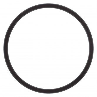 Stant™ - Thermostats, Gas & Radiator Caps | CARiD