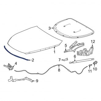 Toyota Mirai Hood Weatherstripping Seals — CARiD.com