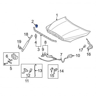 Toyota Tundra OEM Body Hoods | Carbon Fiber, Fiberglass — CARiD.com
