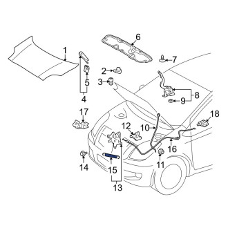 Toyota Prius Hood Hinges & Springs — CARiD.com