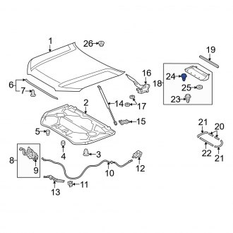 Toyota OEM Auto Body Hoods | Carbon Fiber, Fiberglass, Steel — CARiD.com