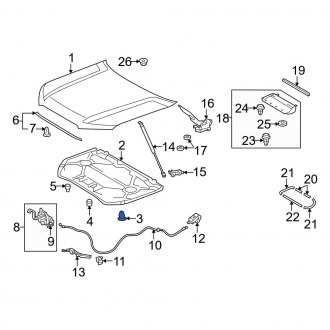 Toyota C-HR Replacement Hoods - Hinges, Supports | CARiD