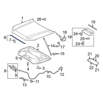 Toyota OEM Car Wraps - Decals, Stickers, Graphics | CARiD