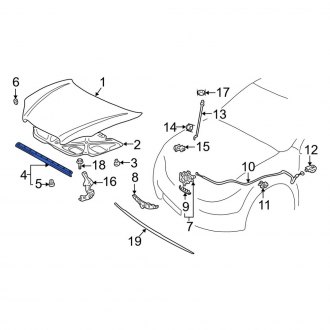Toyota Corolla Hood Weatherstripping Seals | CARiD