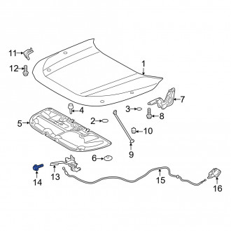 Toyota Corolla Cross Replacement Hood Hardware — CARiD.com