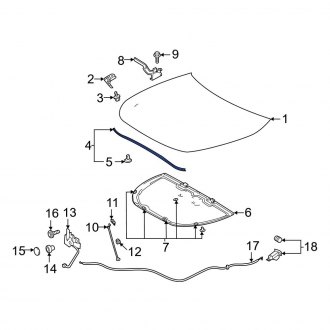 Toyota Highlander Hood Weatherstripping Seals | CARiD