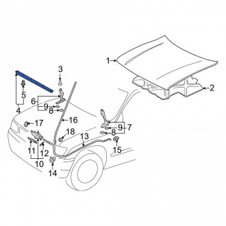 Toyota Tacoma Hood Weatherstripping Seals — CARiD.com