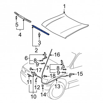 Toyota Tacoma Hood Weatherstripping Seals — CARiD.com