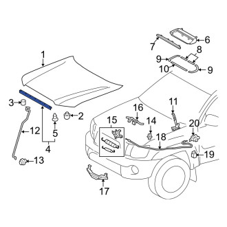 Toyota Tacoma Hood Weatherstripping Seals — CARiD.com