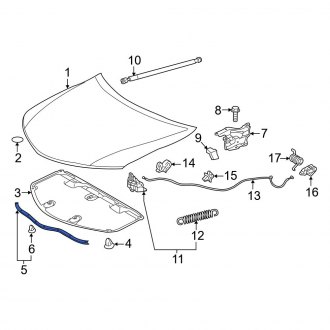 Toyota Camry Hood Weatherstripping Seals — CARiD.com