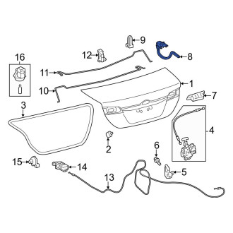 Toyota Camry Trunk & Tailgate Hinges | CARiD