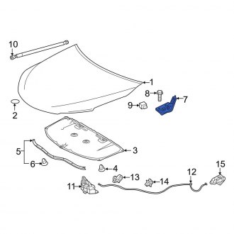Toyota Camry Hood Hinges & Springs — CARiD.com