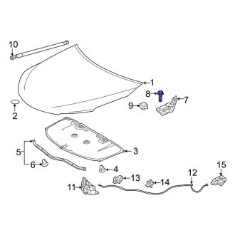 Toyota Corolla Cross Replacement Hood Hardware — CARiD.com