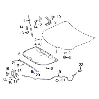 Toyota C-HR Replacement Hoods | Hinges, Supports – CARiD.com