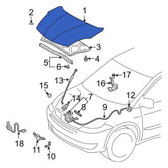 Toyota Sienna Replacement Hood Panels — CARiD.com