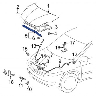 Toyota Sienna Hood Weatherstripping Seals — CARiD.com