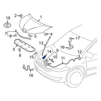Toyota Sienna Replacement Hood Hardware | CARiD