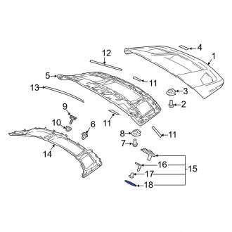 Toyota C-HR Trunk & Tailgate Seals — CARID.com