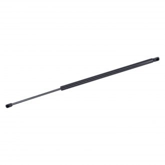 Body Door Lift Supports - CARiD.com