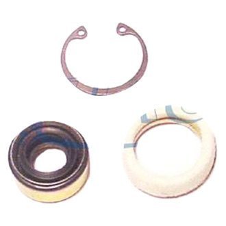 A/C Compressor Seals | CARiD