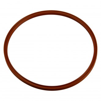 Fuel Pump O-Rings | CARiD