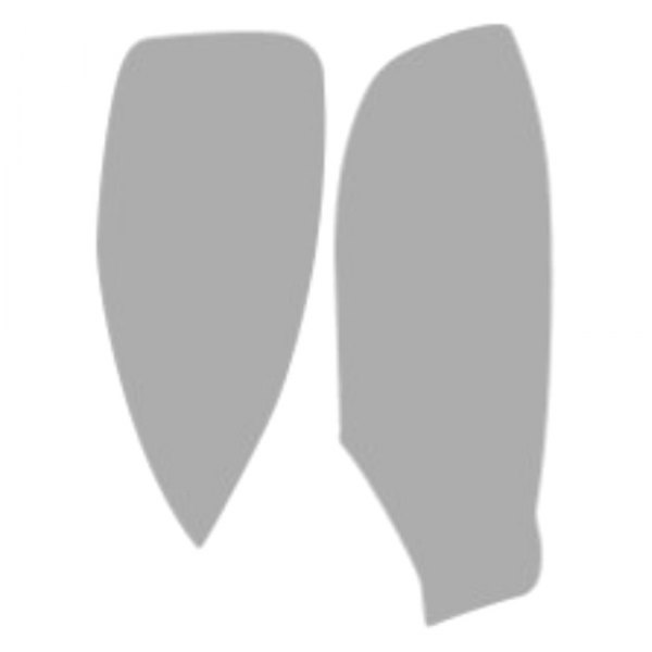 Vicrez® vpp29443 - Paint PPF Pre-Cut Passenger Side Mirror Protection