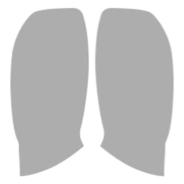 Vicrez® vpp29782 - Paint PPF Pre-Cut Mirrors Kit Protection