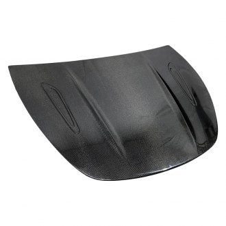 2023 Tesla Model Y Custom Hoods - Carbon Fiber, Fiberglass | CARiD