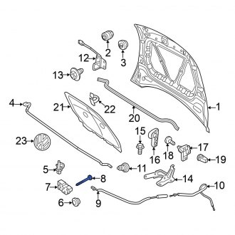 Volkswagen Passat OEM Body Hoods | Carbon Fiber, Fiberglass — CARiD.com