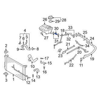 Volkswagen Phaeton Coolant Overflow Tanks — CARiD.com