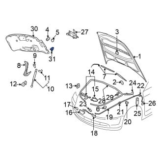Volkswagen Phaeton OEM Exterior & Body Parts — CARiD.com