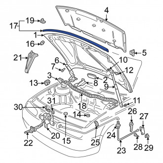 Volkswagen Golf Hood Weatherstripping Seals — CARiD.com